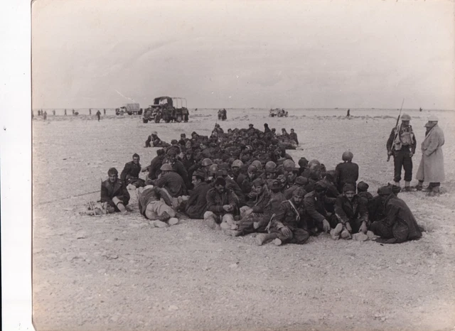 ORIGINAL PRESS PHOTO WW2 Western Desert Italian POWs await collection ...