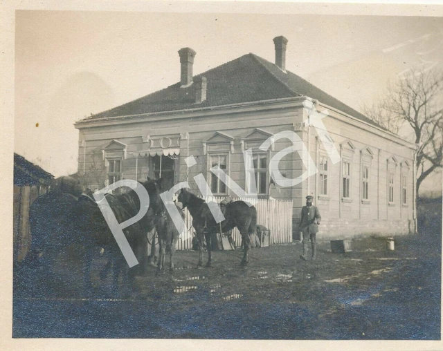 FOTO WK I Soldat Pferde Quartier Kraljevo Краљево Serbien Србија H1.33 ...