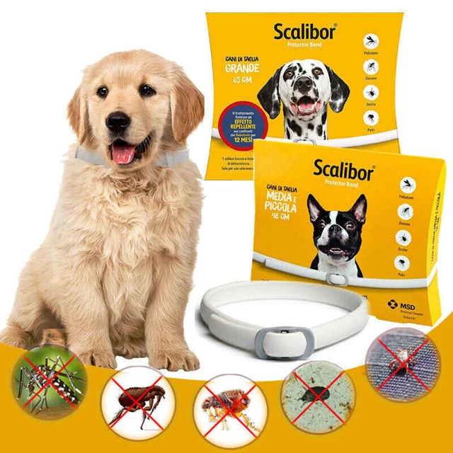 COLLIER ANTI-INSECTES-PUCES ET tiques 8 mois protection pour Chiens EUR ...