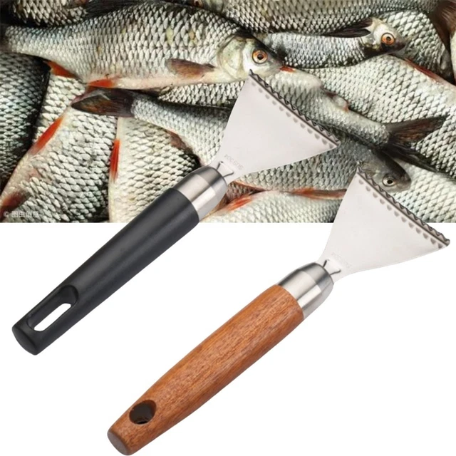 HASSLE FISH SCALE Remover Ergonomic Handle for Comfortable Scale ...