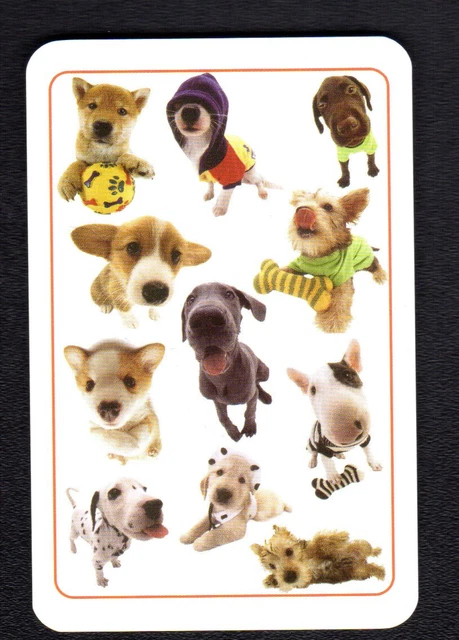 VINTAGE SWAP/PLAYING CARDS - Cute Dog Breeds $1.00 - PicClick AU