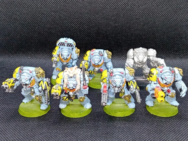 WARHAMMER 40K SPACE Wolves Terminators Wolfguard oop metal £3.20 ...