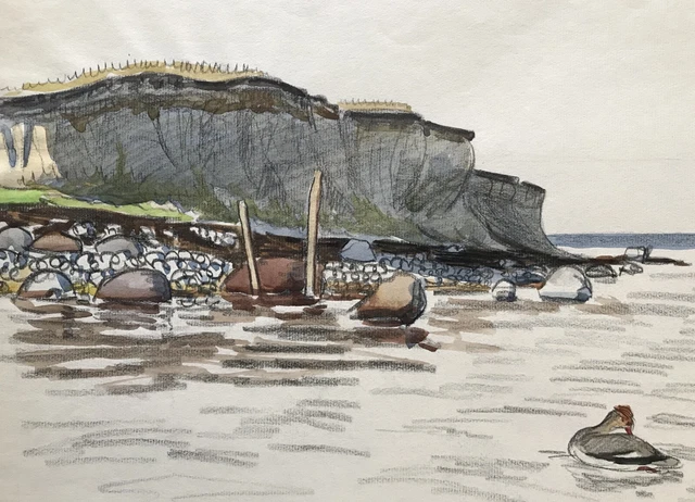 PLONGEUR CAPOT KARL Adser 1912-1995 sur la falaise Romsö Danemark ...