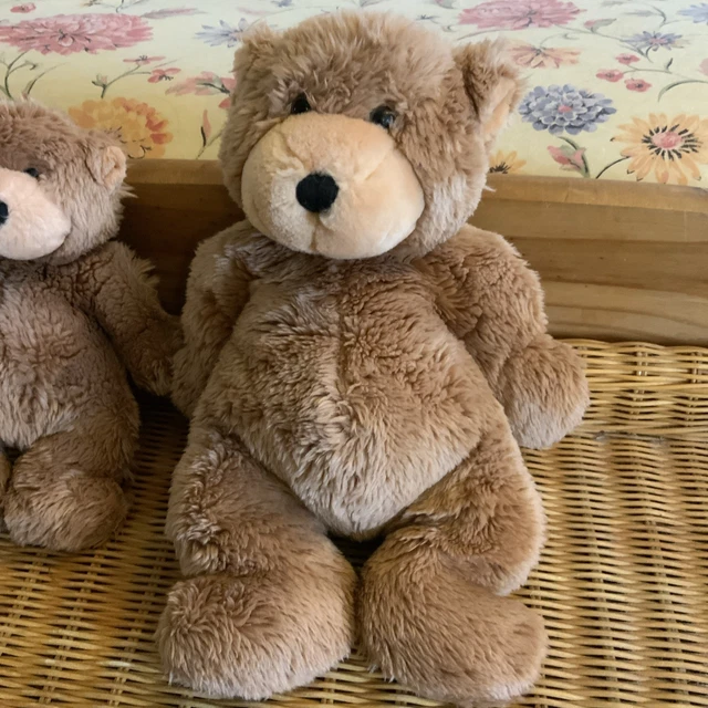 JELLYCAT SQUIDGY BROWN Medium & Small Squidgy Bears 2000 £39.99 ...