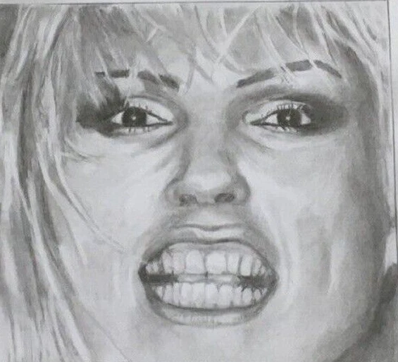 &DEBBIE HARRY& ORIGINAL Graphite Drawing by A. Geldard Framed. *FINAL ...