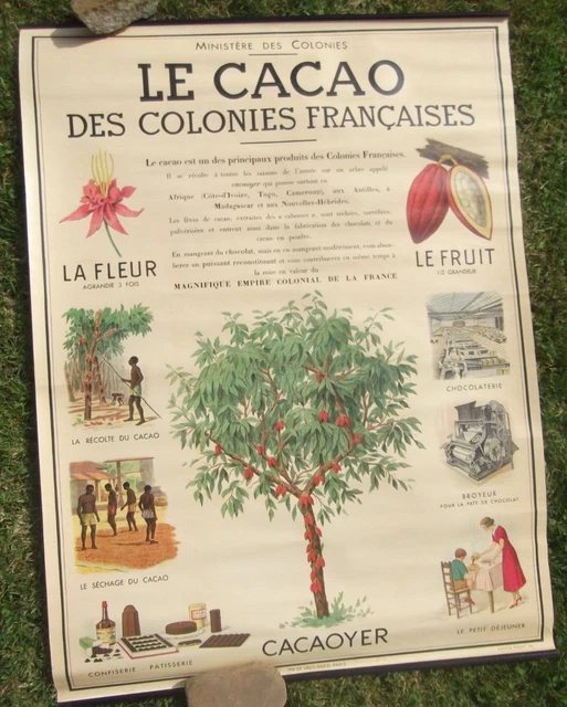 ANCIENNE AFFICHE SCOLAIRE MINISTERE DES COLONIES Le Cacao des Colonies ...