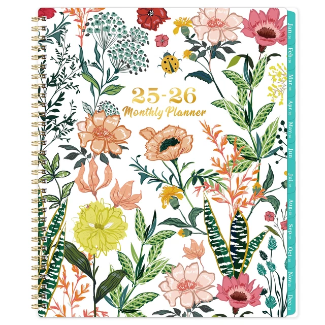 2025-2026 MONTHLY PLANNER/CALENDAR - Jul 2025 - Dec 2026, 18 Monthly ...