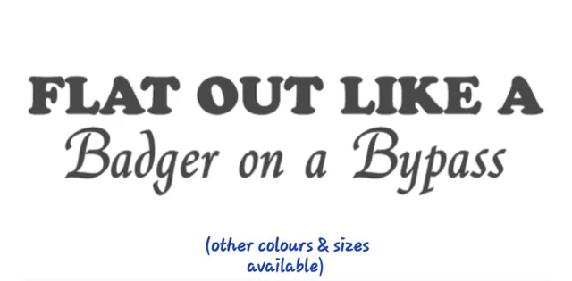 FLAT OUT LIKE a badger decal sticker, farming, farm, funny. £6.50 ...