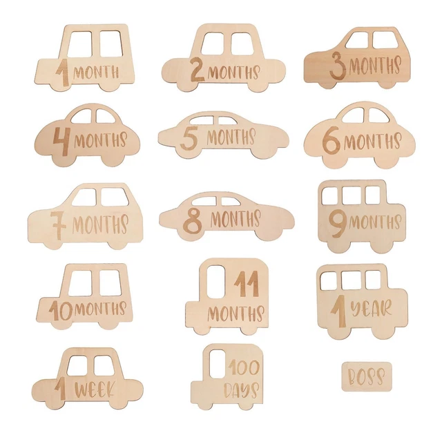 15PCS MONTHLY MILESTONE Cards Baby Milestone Discs Baby Birth ...