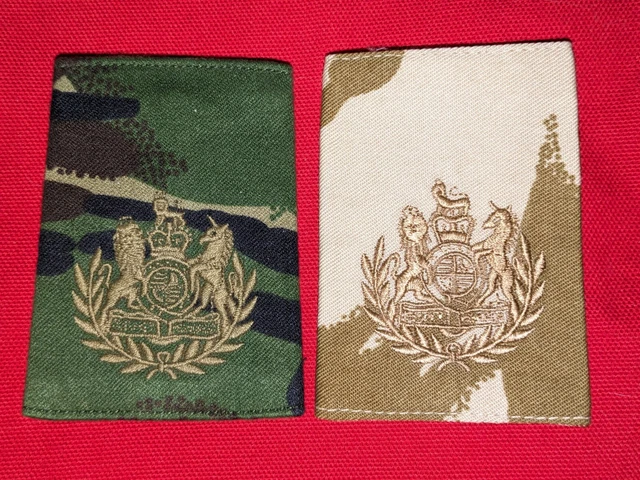 BRITISH ARMY DESERT DPM Warrant Officer Class One WO1 conductor Rank ...