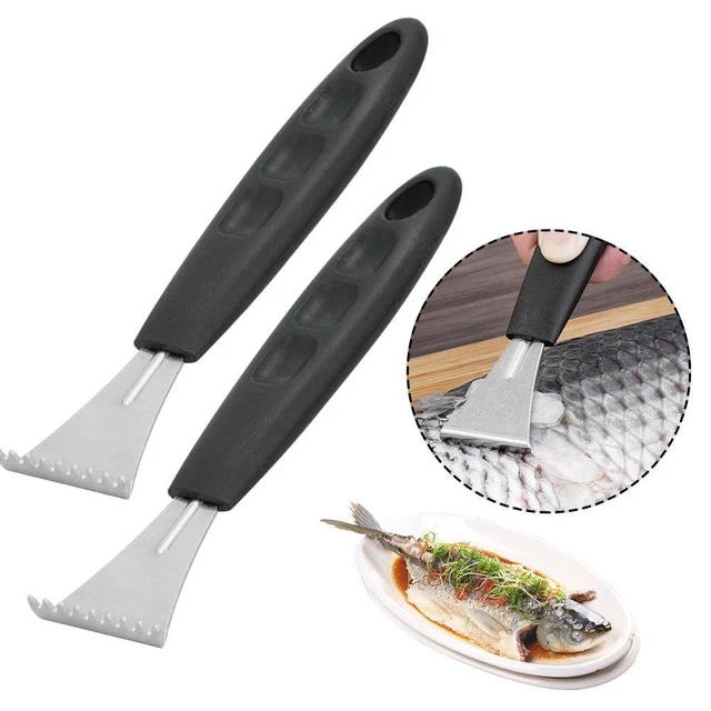 STAINLESS STEEL FISH Scale Scraper Fish Scale Remover Tool for Home ...