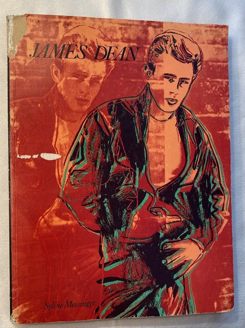 LIVRE JAMES DEAN Couverture Illustree Par Andy Warhol 1984 Nombreuses Photos EUR 9,00 - PicClick FR