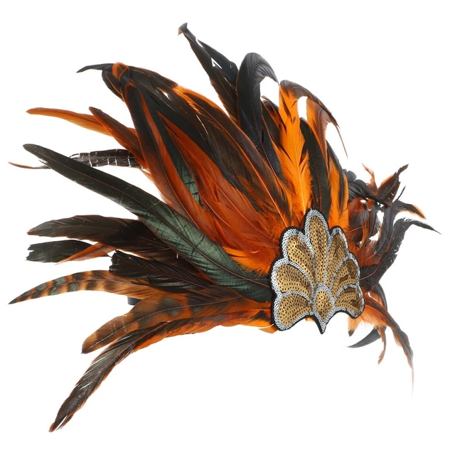 ADULT PLUME HEADDRESS Hair Decoration Carnival Headpiece Headband $28. ...