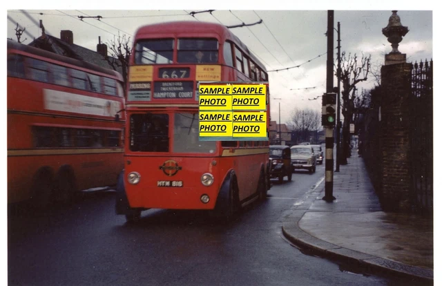LONDON TRANSPORT COLOUR Bus Photograph-Trolleybus 1816 Route 667 £1.00 ...