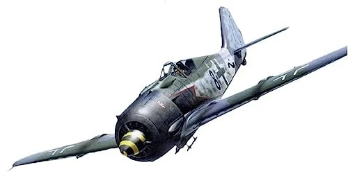 TAMIYA 1/48 GERMAN Luftwaffe Focke-Wulf Fw 190 A-8/R2 Fighter Kit 61095 ...