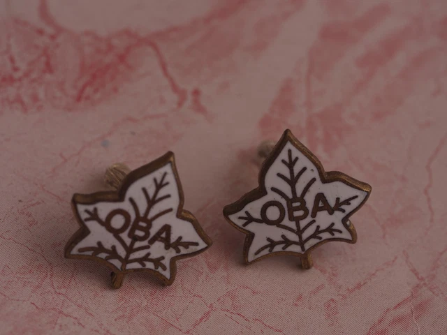 VINTAGE RARE RAOB Overseas The Royal Antediluvian Order of Buffaloes ...