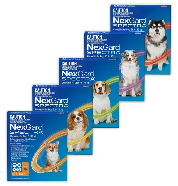NEXGARD SPECTRA FLEA Ticks, Heartworm, Intestinal Worm Nexgard Spectrum ...