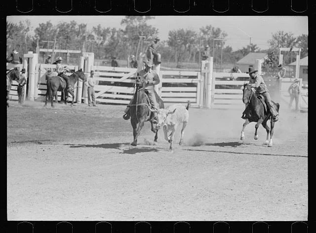 BULLDOGGING RODEO MILES City Montana 1930s Historic Old Photo 6 $9.00 ...