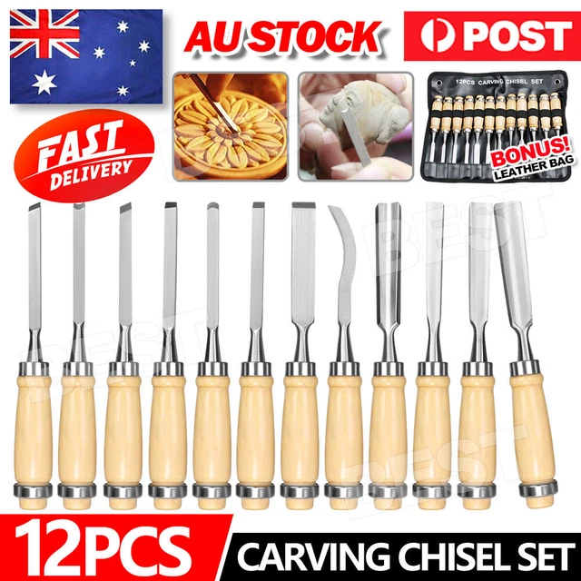 PROFESSIONAL PACK -12 Wood Carving Gauge Chisel Woodworking Hand Tool ...