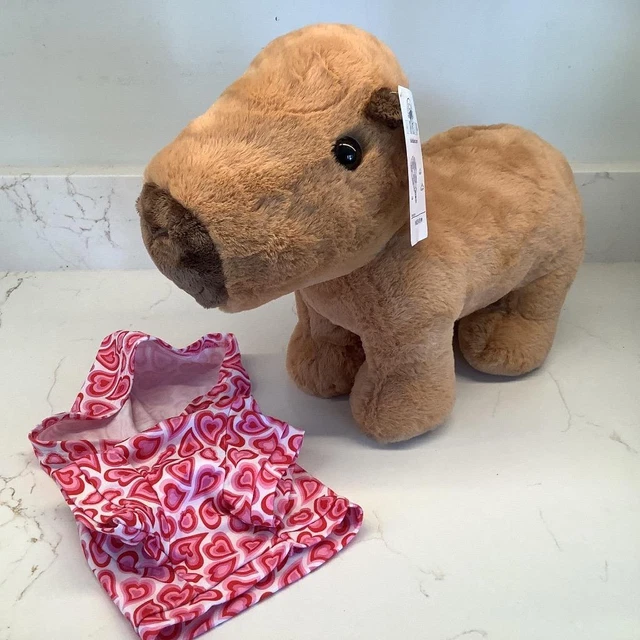 BUILD UNE OURS Atelier Rare & Htf Capybara Rongeur & Coeurs Capuche ...