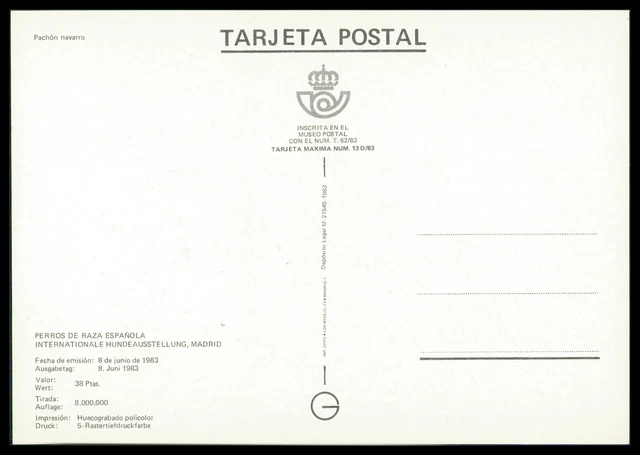 SPAGNA MK CANI NAVARRO-POINTER DOGS MAPPA MASSIMA CARTA MASSIMA MC CM ...