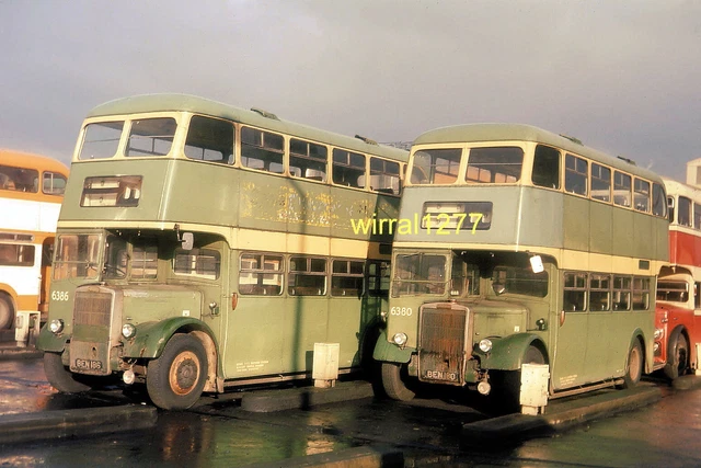 6X4 BUS COLOUR photograph Selnec PD2 BEN180/186 £1.00 - PicClick UK