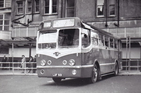 BUS PHOTO SOUTHDOWN Leyland Royal Tiger LUF 501 Brighton Route 30 1952 ...