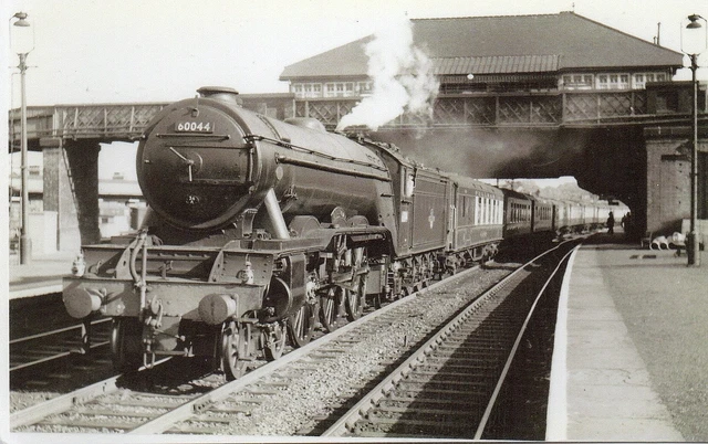 EX LNER CLASS A3 No 60044 "MELTON" @ HARRINGAY on "YORKSHURE PULLMAN ...