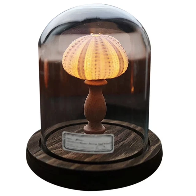 DIY NIGHT LIGHT LED Lamp Soft Lighting Flicker Nightstand Lamp ...