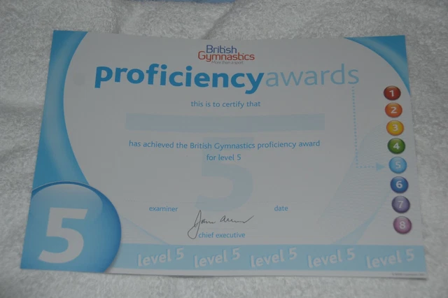 BRITISH GYMNASTICS PROFICIENCY Award Certificate & Badge Level 5 Sport Gym Kids £2.00 - PicClick UK