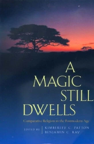 KIMBERLEY C. PATTON A Magic Still Dwells (Poche) EUR 48,68 - PicClick FR
