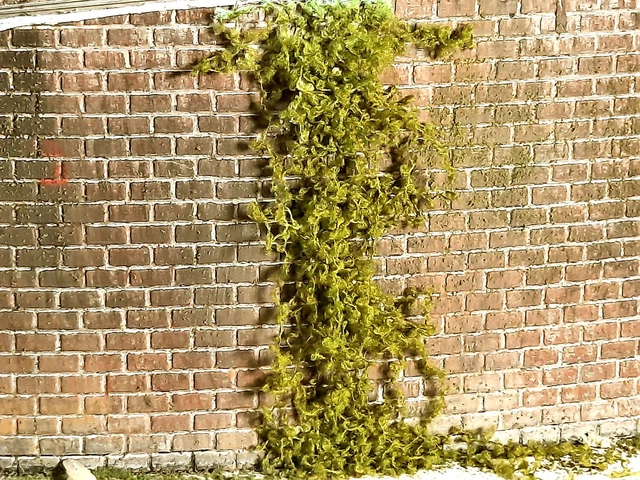 H0 & TT Modellbahn Ranken Sommergrün für Faller Vollmer Kibri Diorama ...