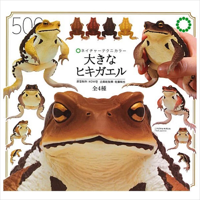 CANE TOAD FROG Figure Full Set 4 Types Ikimon Nature Techni Colour cane-toad-frog-figure-full-set-4-types-ikimon-nature-techni-colour