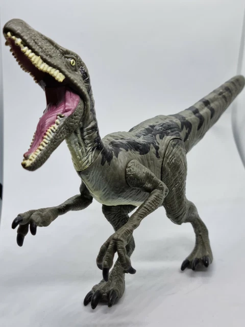 JURASSIC WORLD DINOSAUR Velociraptor "Charlie" Action Figure Hasbro £9. ...