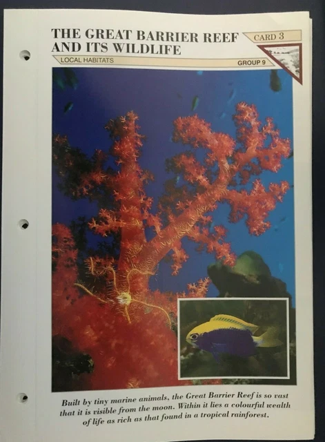 WORLD HABITATS WILDLIFE Fact File Fold-Out Collector Cards, assorted ...