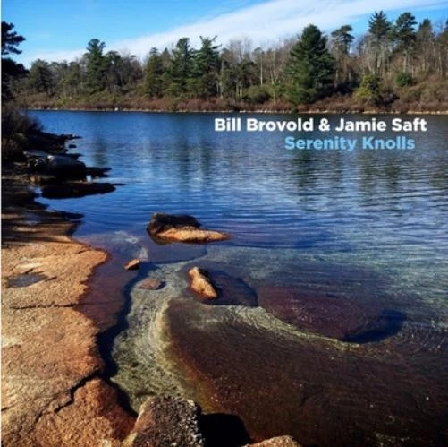 BILL BROVOLD & Jamie Saft Serenity Knolls (CD) Album EUR 18,01 ...