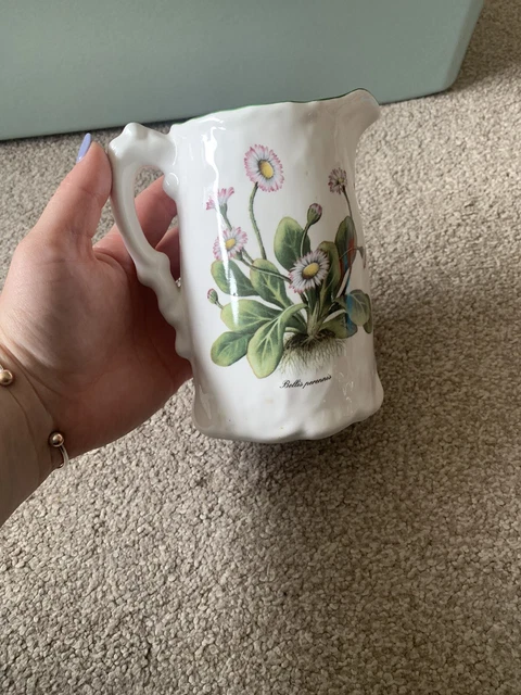 CHELSON FINE BONE China Jug £2.00 - PicClick UK