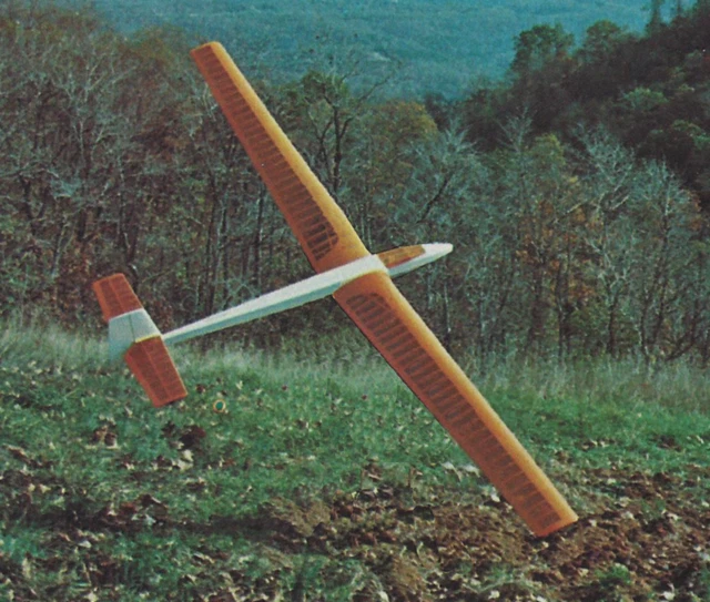 GIANT SNOOPY HIGH Performance Sailplane Plans, Templates, Instructions ...