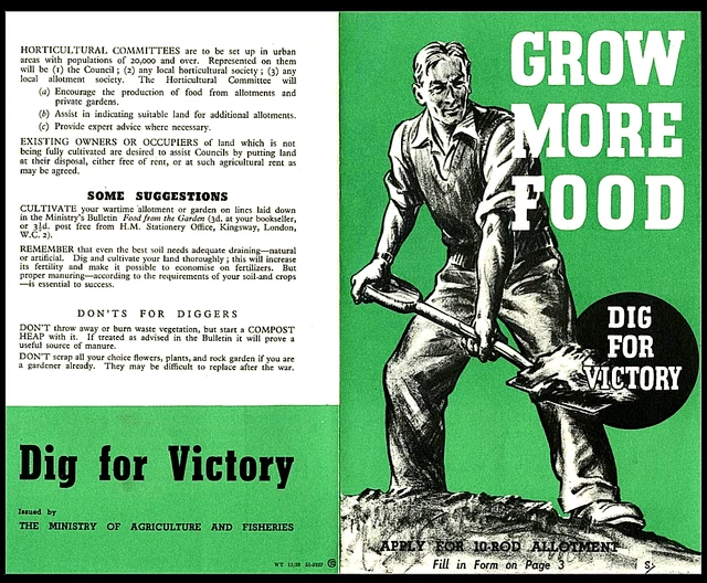 DIG FOR VICTORY I Grow More Food World War II Gardeners Old Plants ...