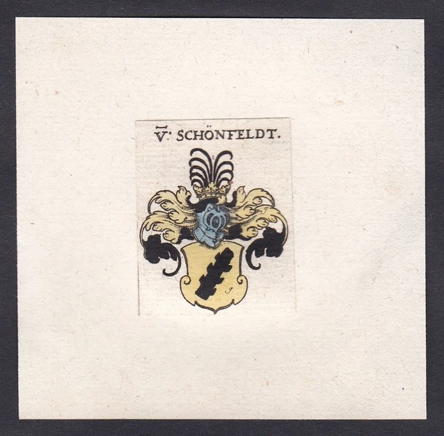 SCHOENFELD SCHÖNFELDT STEMMA! Coat Of Arms Blason Araldica Incisione ...
