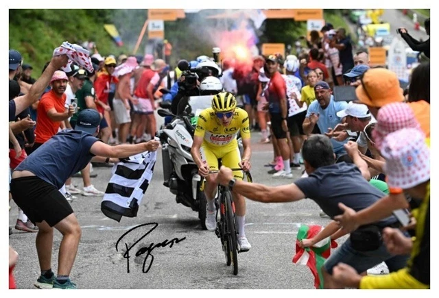 TADEJ POGACAR ^ 2024 TOUR DE FRANCE - CYCLING - 6x4 Signed Autograph ...