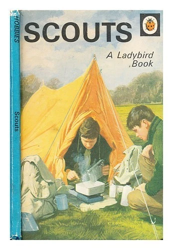 HARWOOD, DAVID SCOUTS: chi sono e cosa fanno / di David Harwood, con i ...