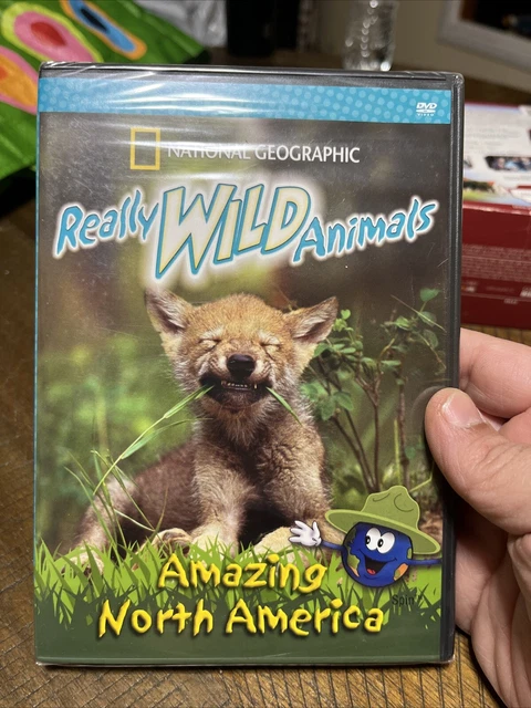 REALLY WILD ANIMALS National Geographic Amazing North America - DVD ...