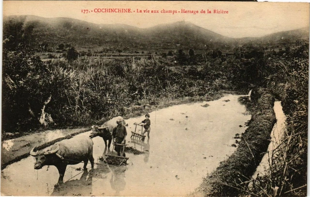 CPA AK VIETNAM INDOCHINE-Cochinchine-Hersage de la Riziére (321025) EUR ...