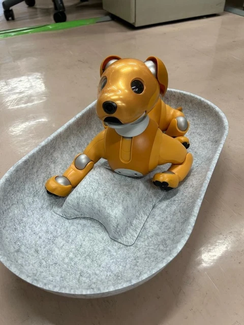 SONY AIBO ERS-1000 Caramel Brulee Limited Edition Robot Dog Pet Tested ...