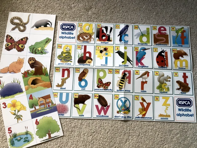 RSPCA ANIMAL ALPHABET Poster And Habitat Game Eyfs Ks1 £2.80 - PicClick UK