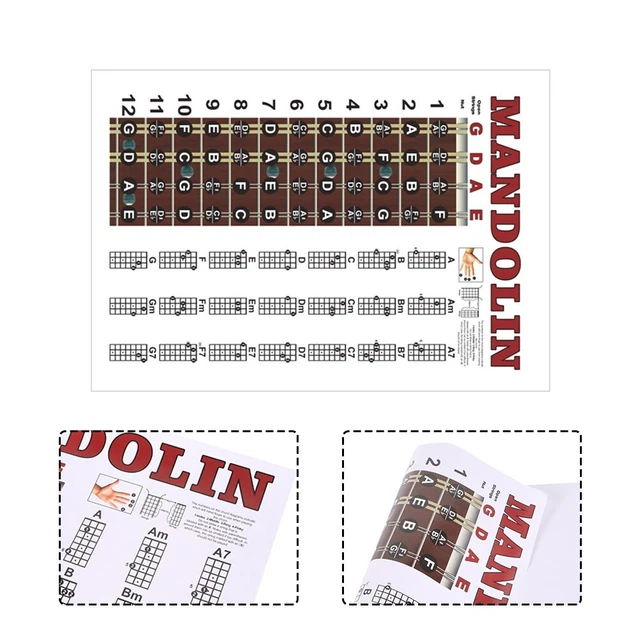 PLONGEZ DANS LES accords de mandoline avec diagrammes d'affiche faciles à lire EUR 21,40 ...