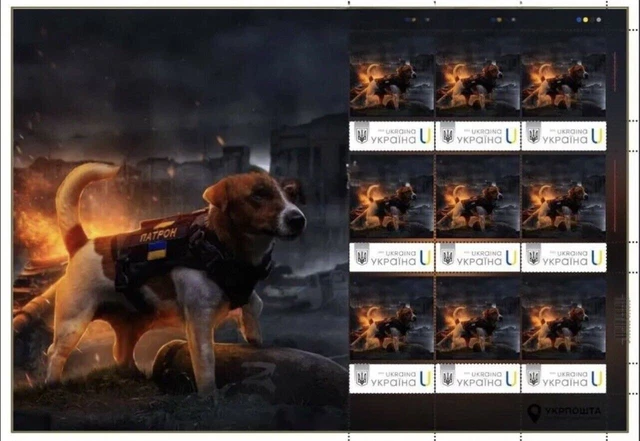 RARE STAMPS WAR in Ukraine 2025 - Dog Patron £17.82 - PicClick UK