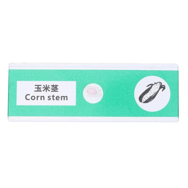 SAMPLE SPECIMENS MICROSCOPE Slides Microscope Sample Prepared Slides Kids $10.32 - PicClick AU