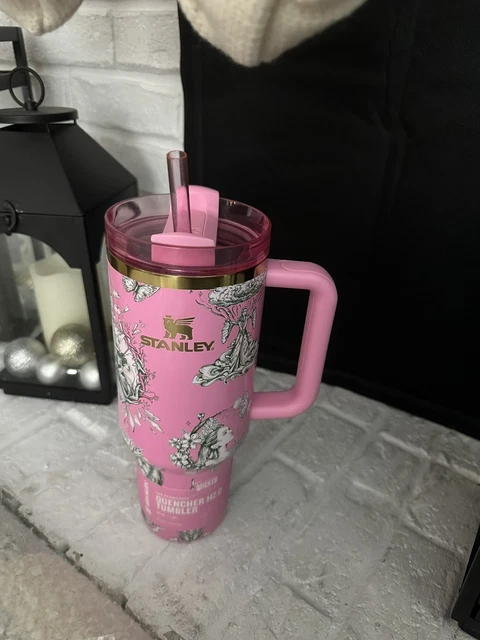 TARGET X STANLEY x Wicked For Good FlowState Quencher Tumbler 40oz ...